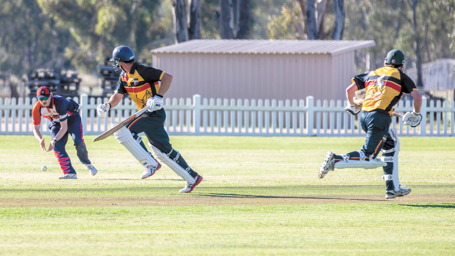 Raiders Sneak Home in Nail-Biting Three-Wicket Thriller Against Nyah ...